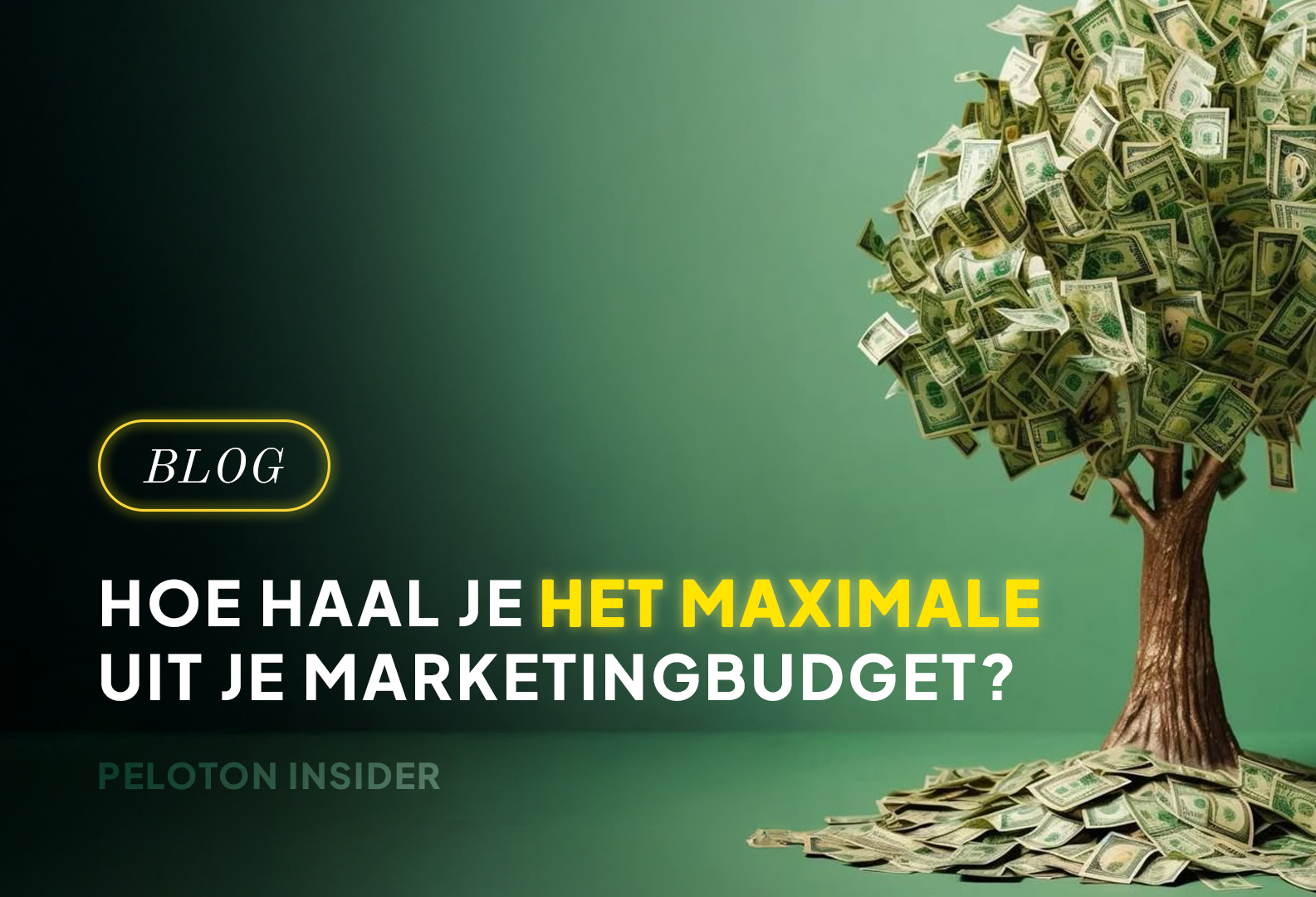 Blog: Hoe haal je het maximale uit je marketingbudget? - Het Peloton